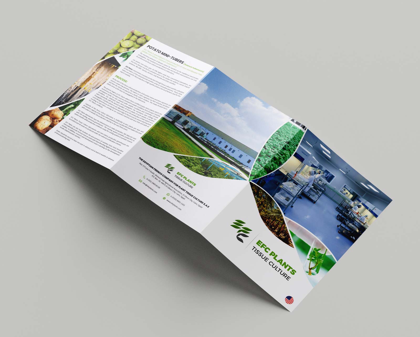 EFC Plants | Brochure